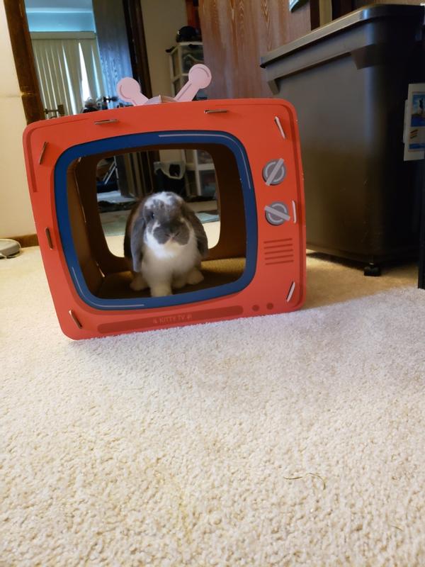 FRISCO TV Set Cardboard Cat House - Chewy.com