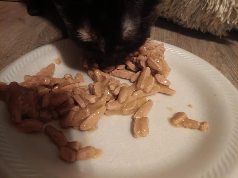 TINY TIGER Shreds with Chicken in Gravy Canned Cat Food, 5.5-oz can ...