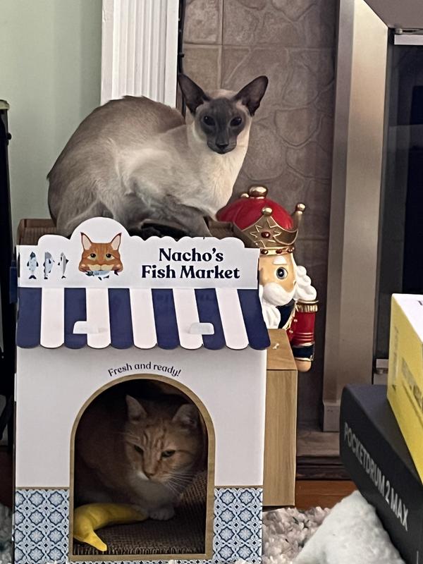 Discontinued - MADE BY NACHO Nacho's Fish Market Cat Toy, Multi-colored ...