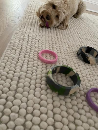 SWEET PAWS Wearable Puppy Teether Stack Party of 4, Put it in Neutral ...