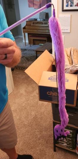 FRISCO Halloween Ghost & Fabric Teaser Wand Cat Toy with Catnip - Chewy.com