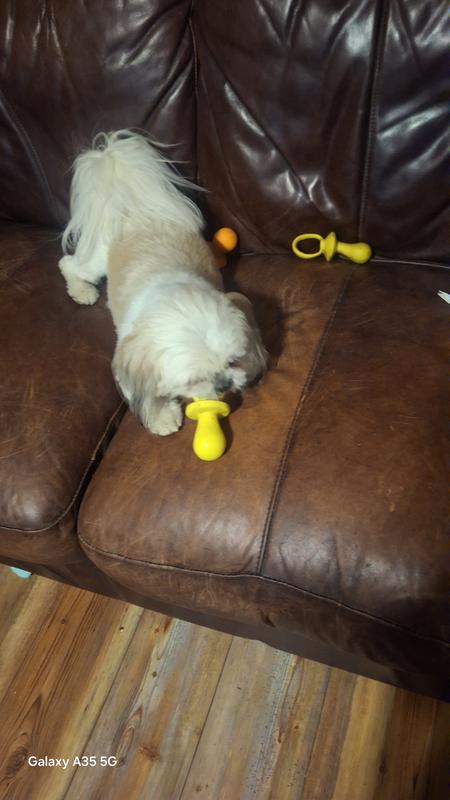 ETHICAL PET Pacifier Squeaky Puppy Chew Toy, Color Varies, 4-in - Chewy.com