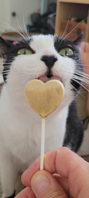 BONKERS Purr Pops Lip Smackin' Grain-Free Salmon & Tuna Freeze-Dried ...