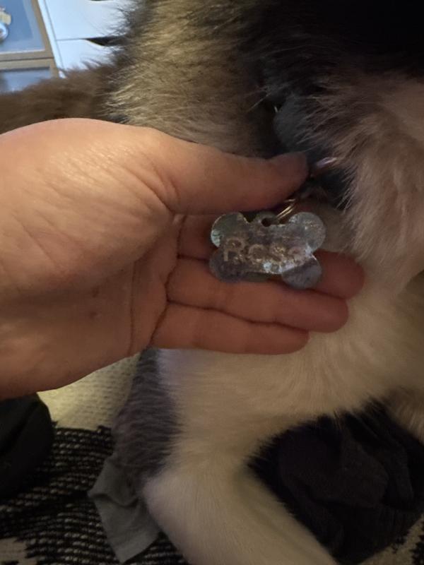 GOTAGS Anodized Aluminum Personalized Silencer Dog ID Tag, Bone, Red ...