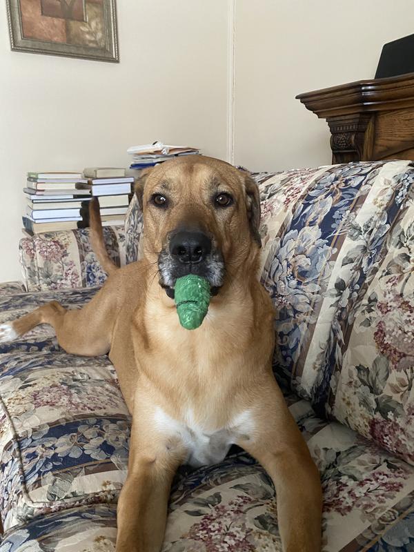 DISNEY Pumbaa Hide & Seek Puzzle Plush Squeaky Dog Toy, Small/Medium ...