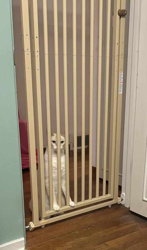 RICHELL Steel Cat Extra Tall Safety Gate, 70-in, White - Chewy.com