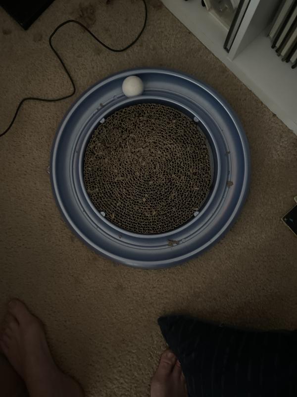 FRISCO Scratch & Roll Scratcher Cat Toy Refills, 2 count - Chewy.com