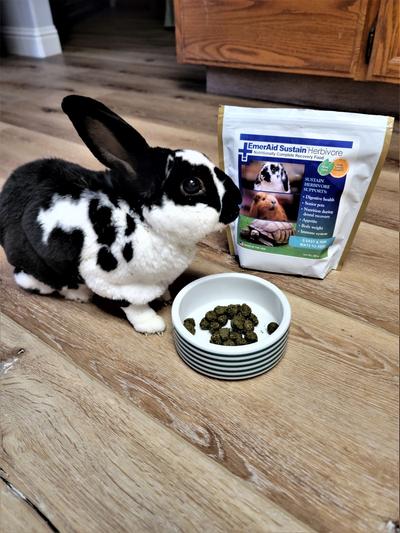 LAFEBER EmerAid Sustain Herbivore Recovery Small Animal Food, 100-gram ...