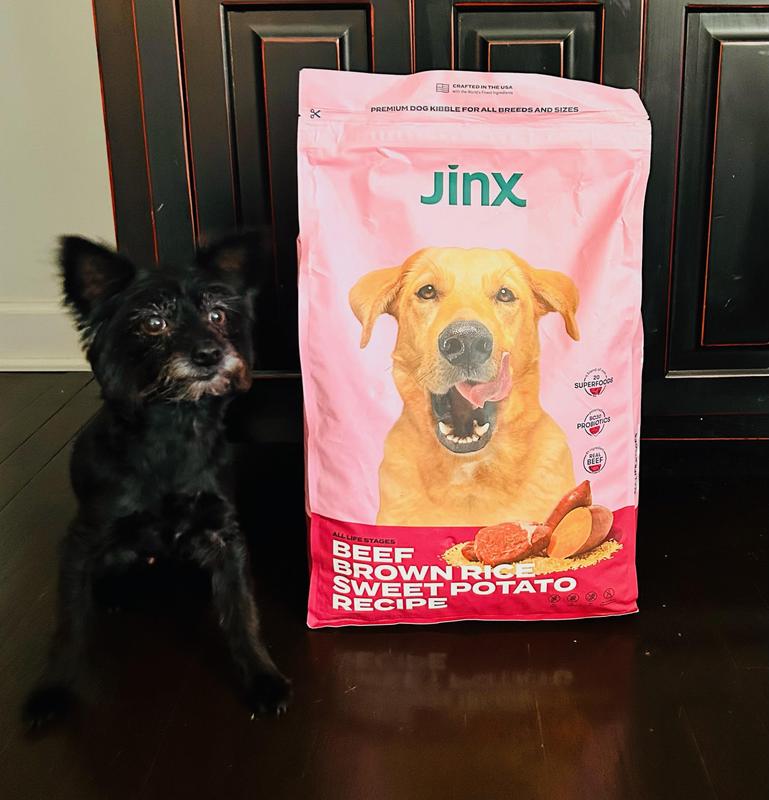 JINX Beef, Brown Rice & Sweet Potato ALS Kibble Dog Dry Food, 23.5-lb ...