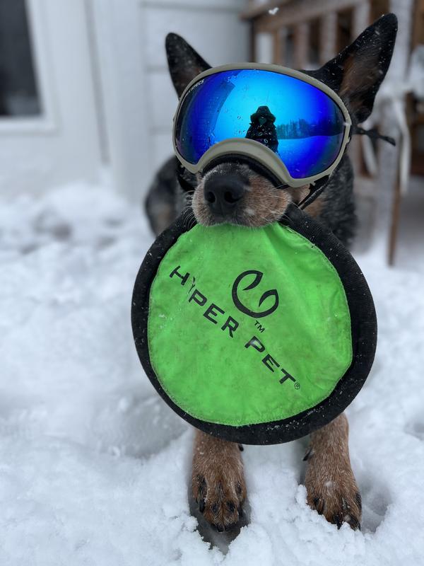 HYPER PET Flippy Flopper Flying Disc Dog Toy, 9-in, 1 pack - Chewy.com