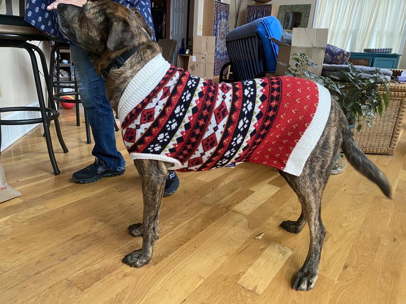 FRISCO Nordic Pawprint Dog & Cat Sweater, XX-Large - Chewy.com
