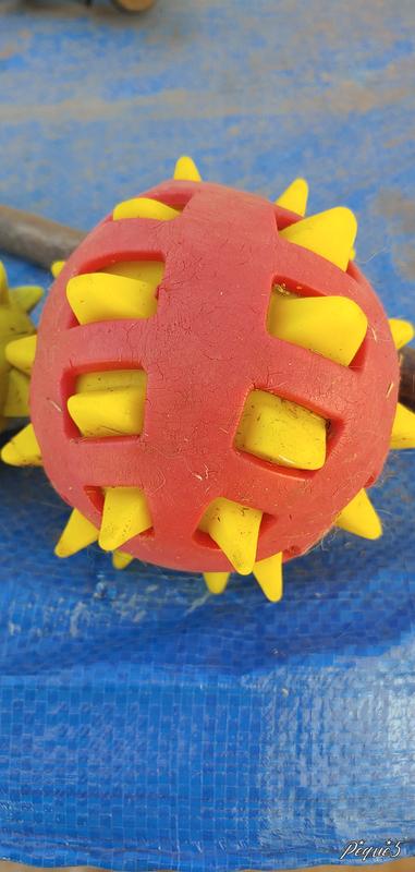 MULTIPET Spike TPR Ball Dog Toy, Color Varies - Chewy.com