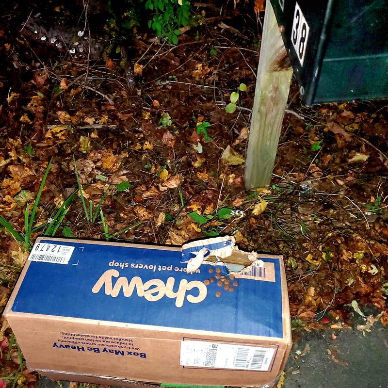 TASTE OF THE WILD Wetlands Grain-Free Dry Dog Food, 5-lb bag - Chewy.com