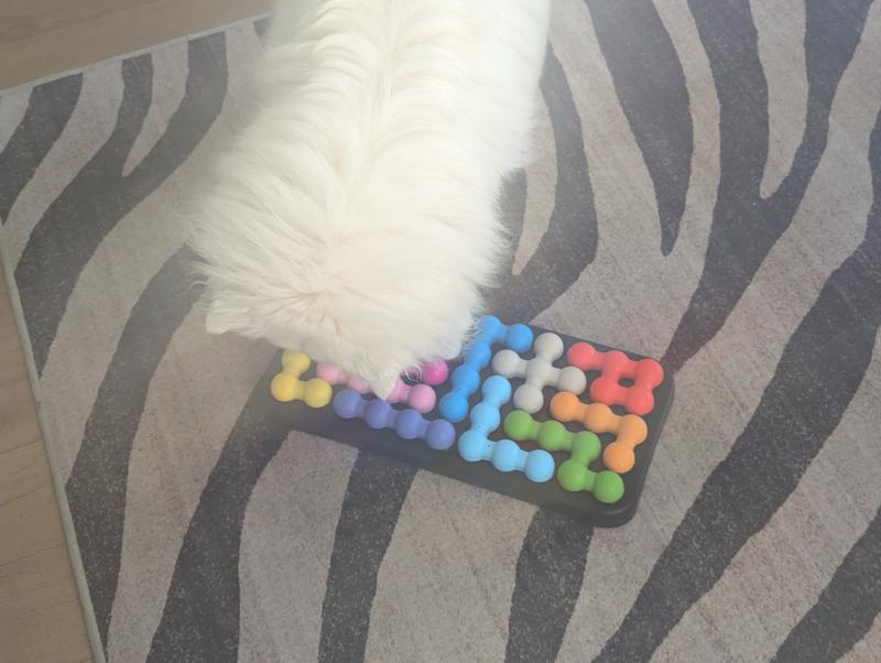 BRIGHTKINS Kanoodle Puzzle Dog Toy, Small - Chewy.com