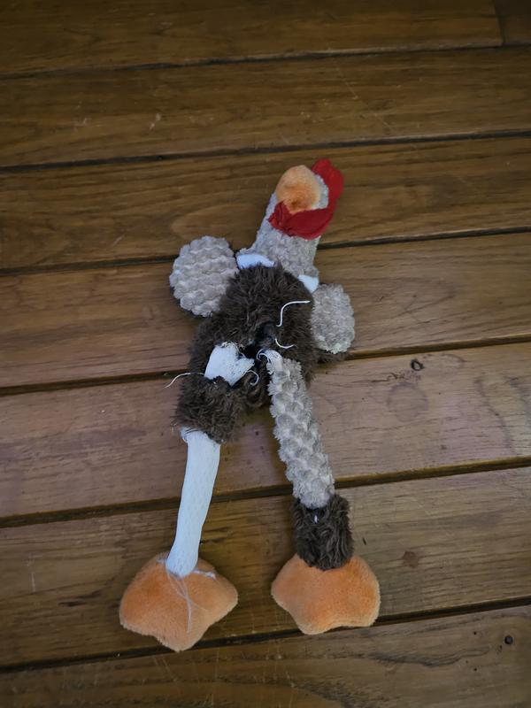 Discontinued - GODOG Checkers Chew Guard Rooster Squeaky Plush Dog Toy ...