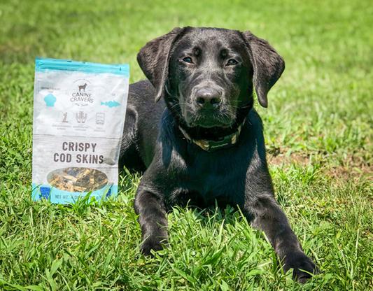 CANINE CRAVERS Crispy Cod Skins Dehydrated Dog Treats, 4-oz pouch ...