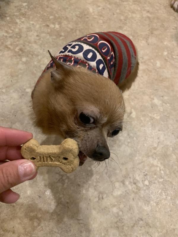 JINX Beef & Bone Broth Biscuits Crunchy Dog Treats, 16-oz bag - Chewy.com