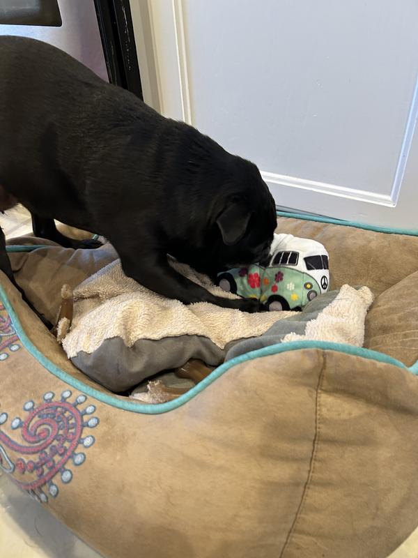 BARK Lucy's Magic Bus Squeaky Plush Dog Chew Toy, Small/Medium - Chewy.com