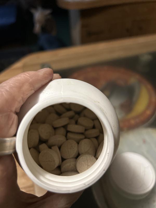 PROIN (phenylpropanolamine hydrochloride) Chewable Tablets for Dogs, 25 ...