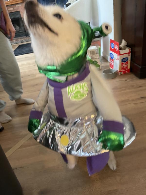 FRISCO Front Walking Alien Dog & Cat Costume, XX-Large - Chewy.com