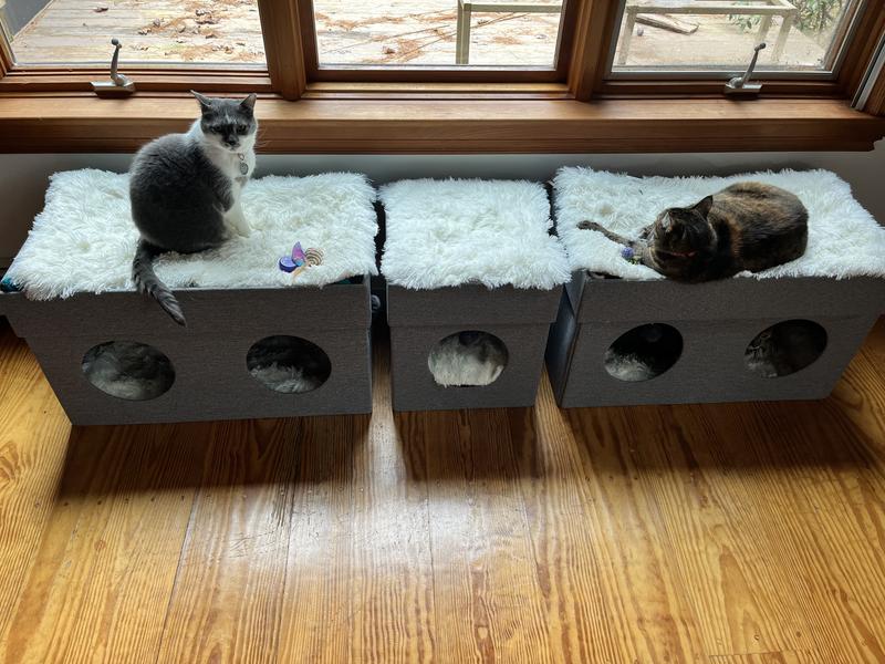 FRISCO Single Cube Stackable & Collapsible Cat Condo, Gray - Chewy.com