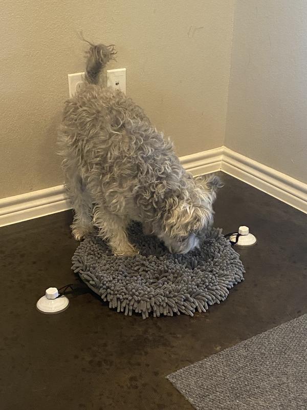 FRISCO Snuffle Mat, Grey - Chewy.com