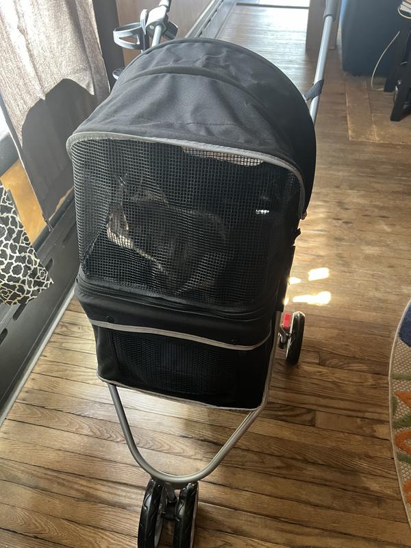 FRISCO Dog & Cat Collapsible Stroller, Black - Chewy.com