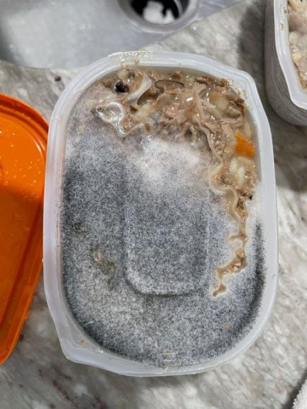 PURINA BENEFUL Prepared Meals Simmered Chicken Medley with Green Beans ...