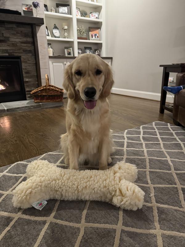 HUGGLEHOUNDS Huggle Fleece Bone Dog Toy, X-Large - Chewy.com