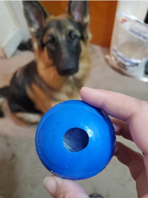 CHUCKIT! Super Crunch Ball, Blue, 1 count - Chewy.com