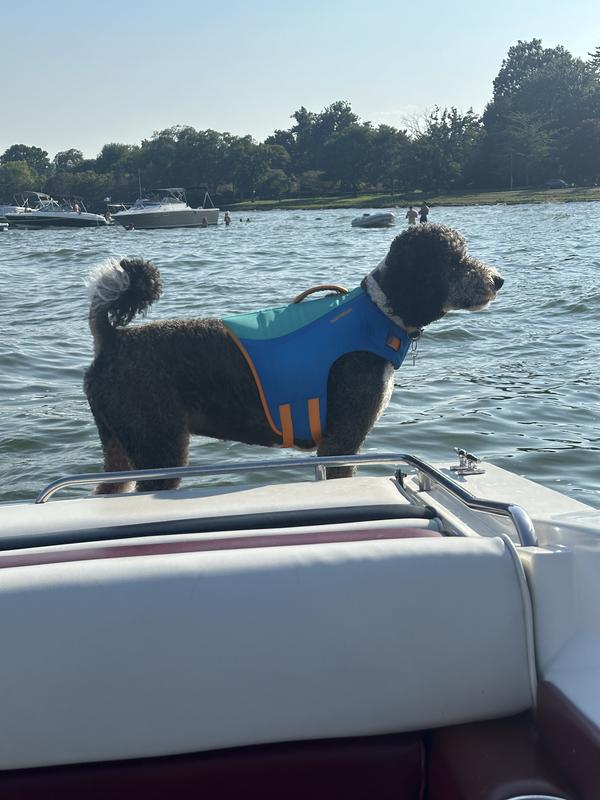 RUFFWEAR Float Coat Dog Life Jacket, Red Sumac, X-Large - Chewy.com