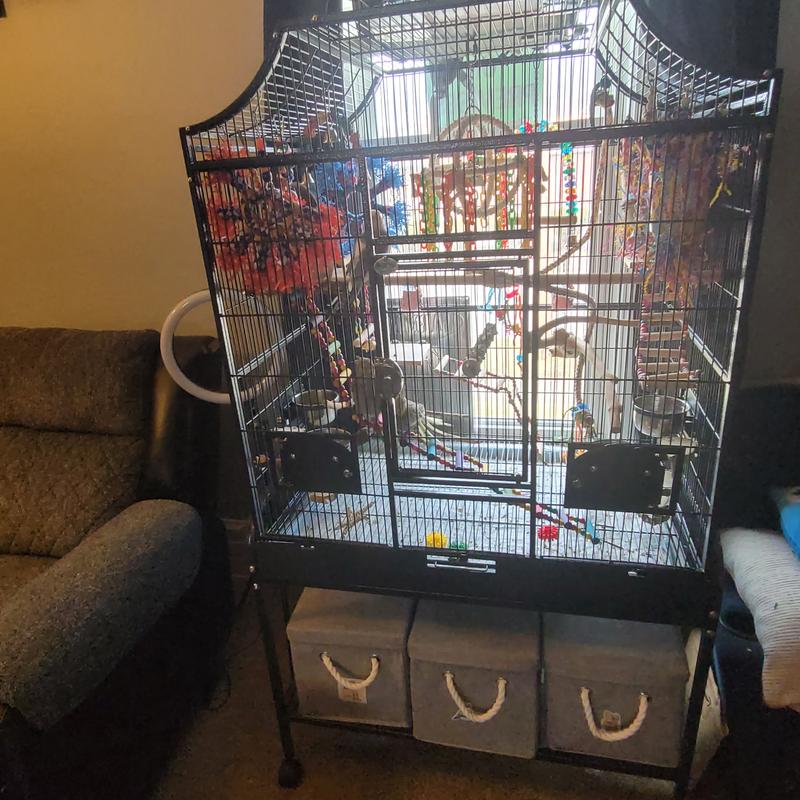 A&E CAGE COMPANY Elegant Style Flight Bird Cage, Black, Small - Chewy.com