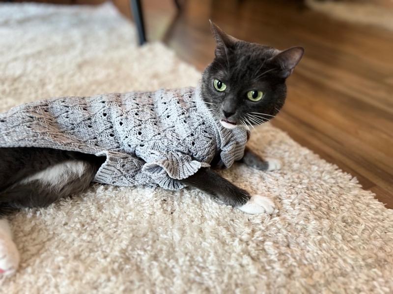 FRISCO Ruffle Knit Pointelle Dog & Cat Turtleneck Sweater, Gray, X ...