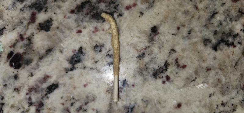 BLUEBONNET FEEDS Equilene Complete Forage Extender Horse Feed, 50-lb ...