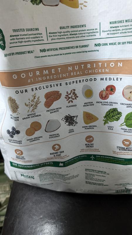 NUTRO Ultra Adult High Protein Trio of Proteins Chicken, Lamb & Salmon ...