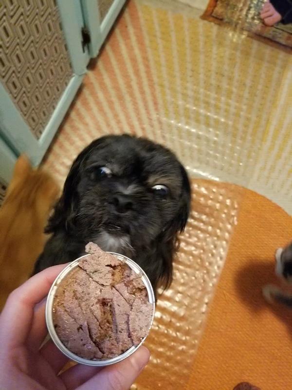 PURINA BENEFUL Infused Pate With Real Chicken, Carrots & Spinach Wet ...