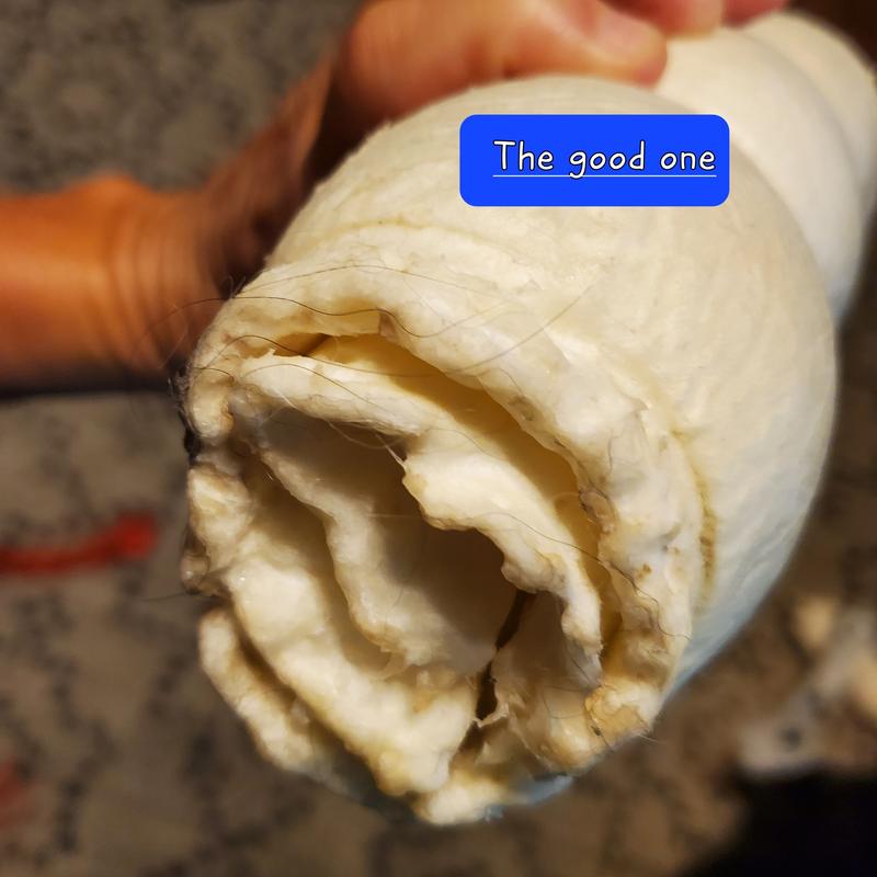 TOP DOG CHEWS Buffalo Beef Cheek Rolls Dog Treat, 5 count, 5 - 6 inches ...