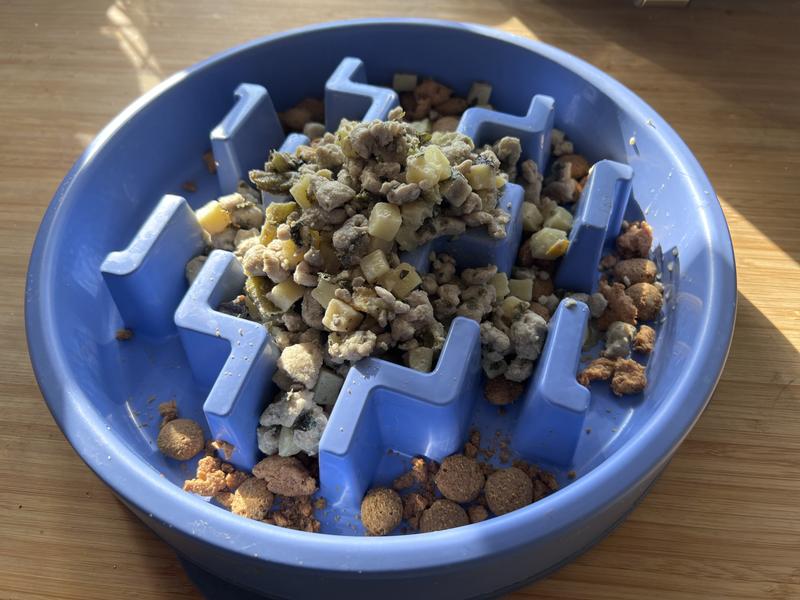 NOM NOM Freshly-Made Frozen Grain-Free Pork Potluck Dog Food, 14-oz ...