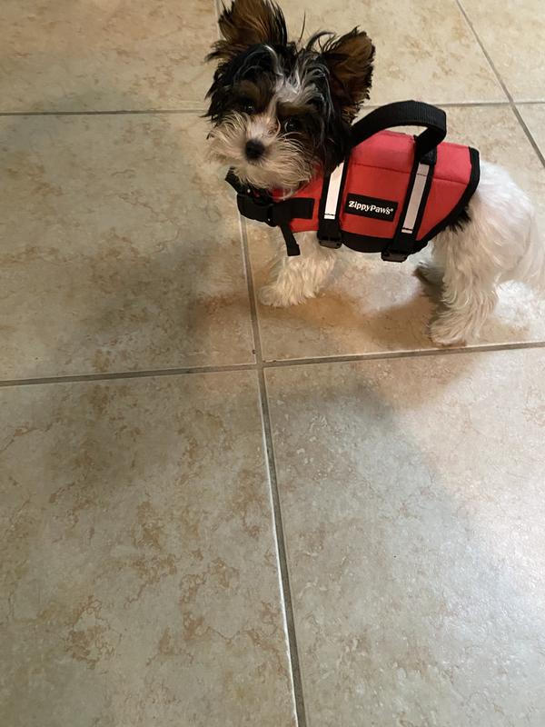 ZIPPYPAWS Adventure Dog Life Jacket, Small - Chewy.com