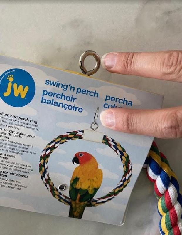 JW PET Swing N' Perch Bird Toy, Large - Chewy.com