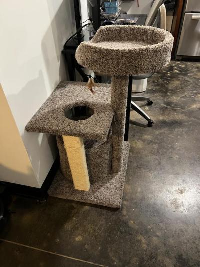 FRISCO 37-in Real Carpet Cat Tree with Condo, Grey - Chewy.com