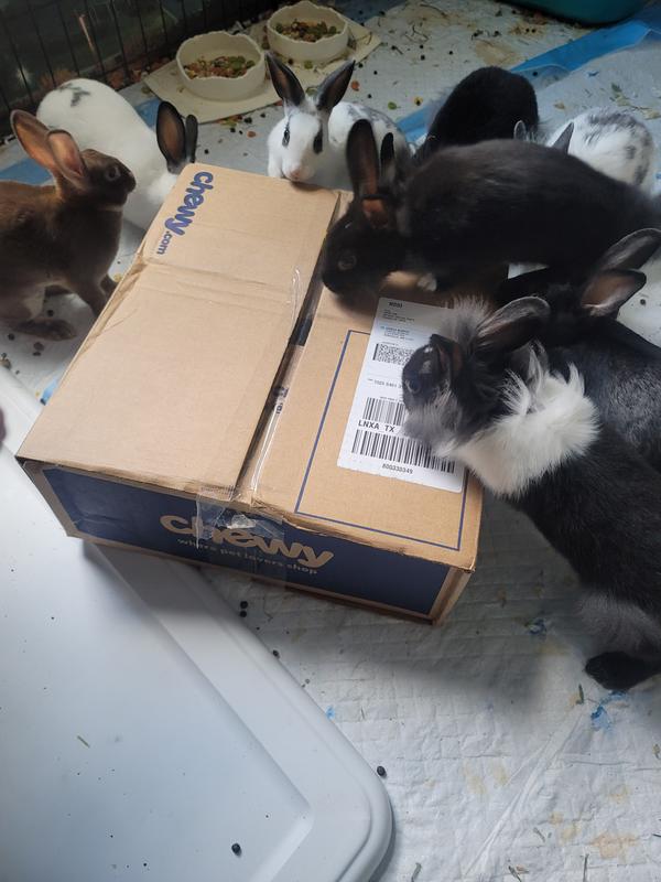 TINY FRIENDS FARM Russel Rabbit Food, 5.5-lb bag - Chewy.com