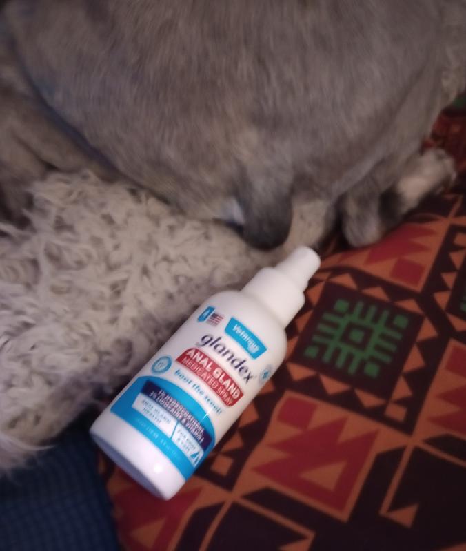 VETNIQUE LABS Glandex Anal Gland Medicated Anti Itch Spray for Dogs ...
