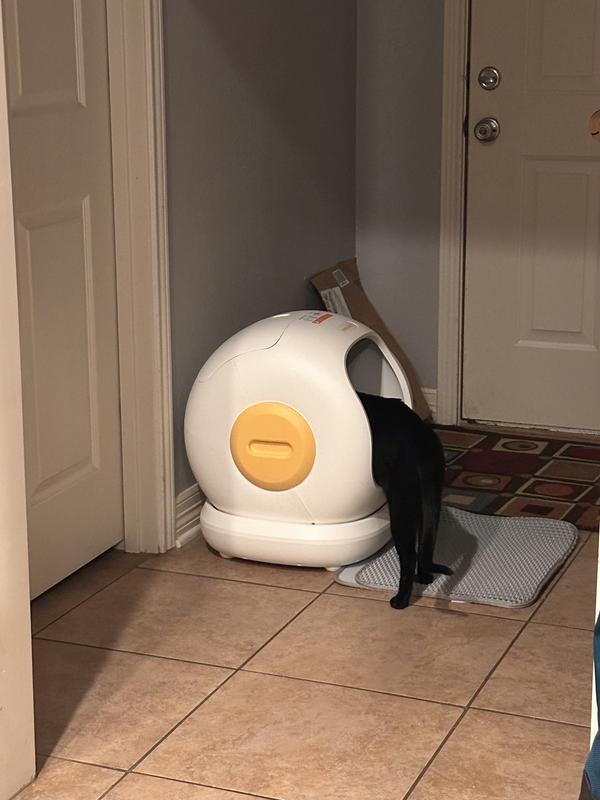 MEOWANT Smart WiFi Enabled Automatic Self-Cleaning Cat Litter Box ...