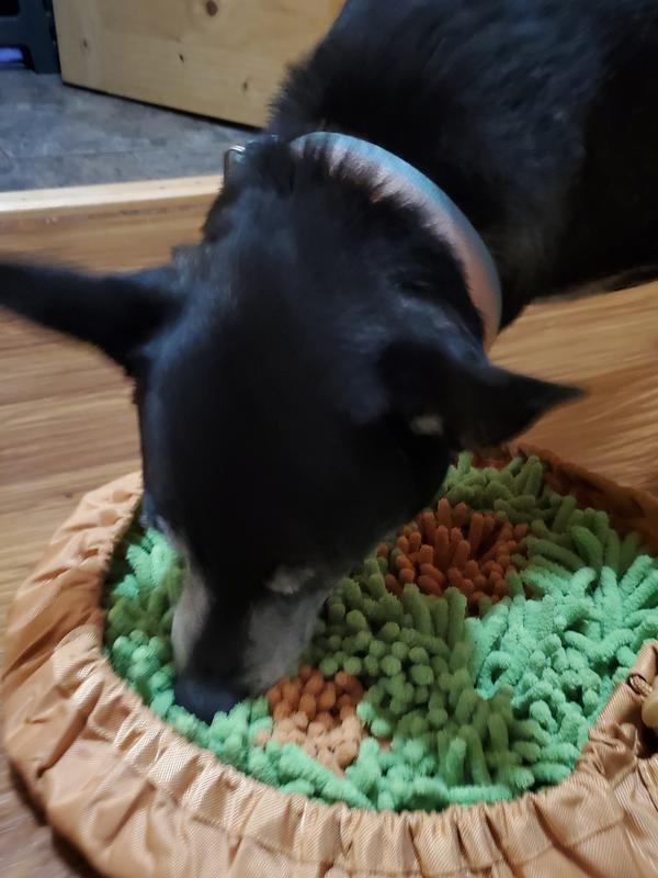 PET PARENTS Forager Snuffle Mat & Slow Feeder Dog Bowl, Meadow Ponds ...