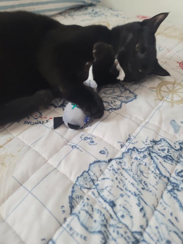 FRISCO Halloween Cutie Bats Plush Cat Toy with Catnip, 3 count - Chewy.com