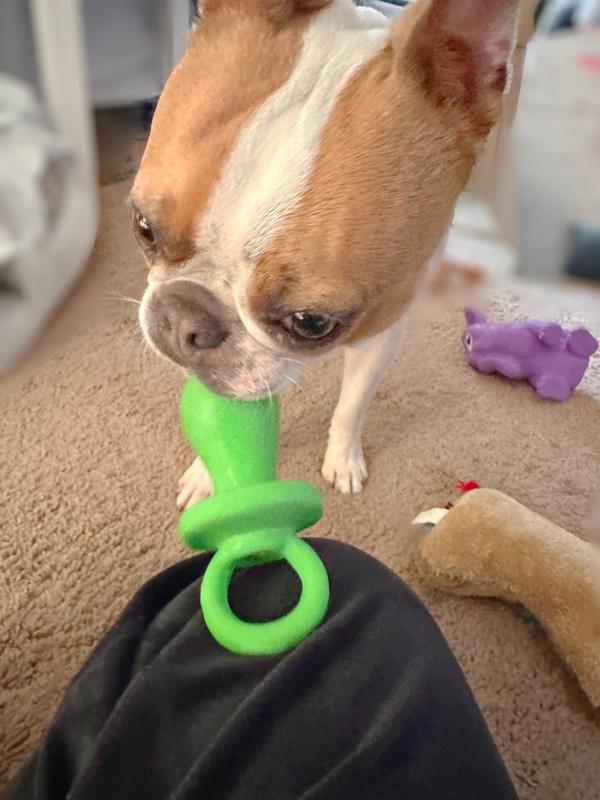 ETHICAL PET Pacifier Squeaky Puppy Chew Toy, Color Varies, 4-in - Chewy.com