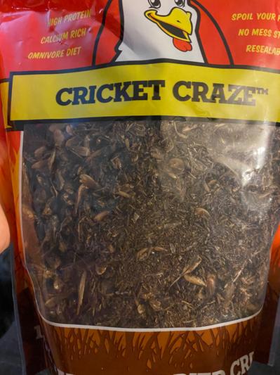 HAPPY HEN TREATS Cricket Craze Dried Crickets Chicken Treats, 5-oz bag ...
