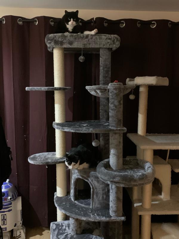 FRISCO 76-in XXL Heavy Duty Cat Tree, Gray - Chewy.com