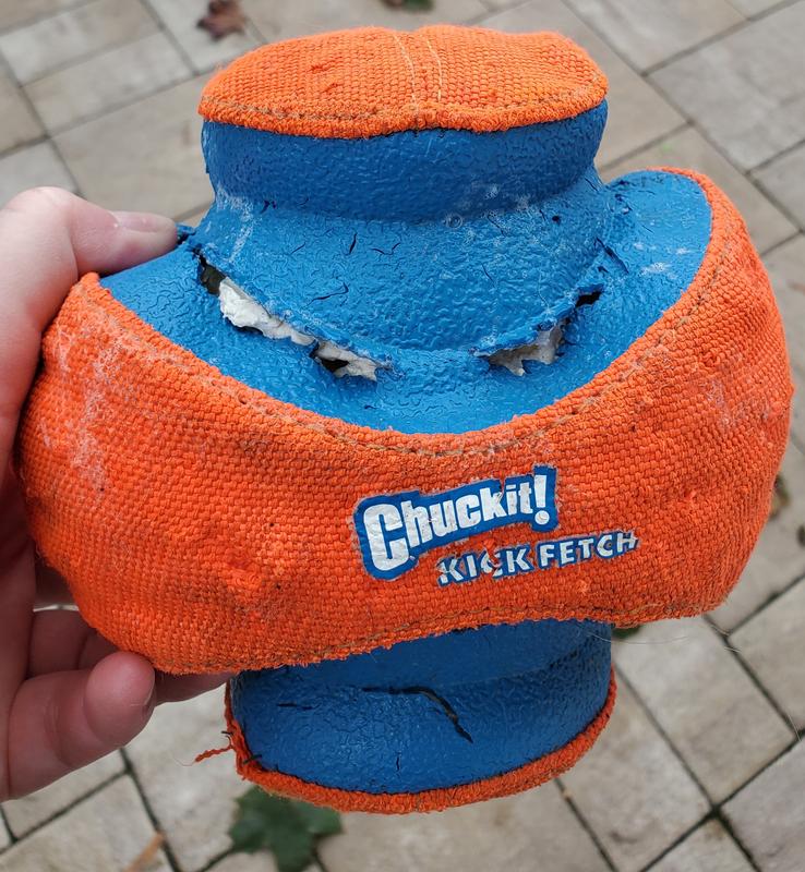 CHUCKIT! Kick Fetch Ball Dog Toy, Large - Chewy.com